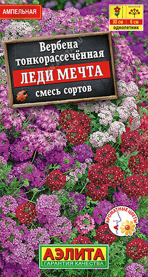 Семена вербены Аэлита "Леди мечта", холодостойкая, неприхотливая