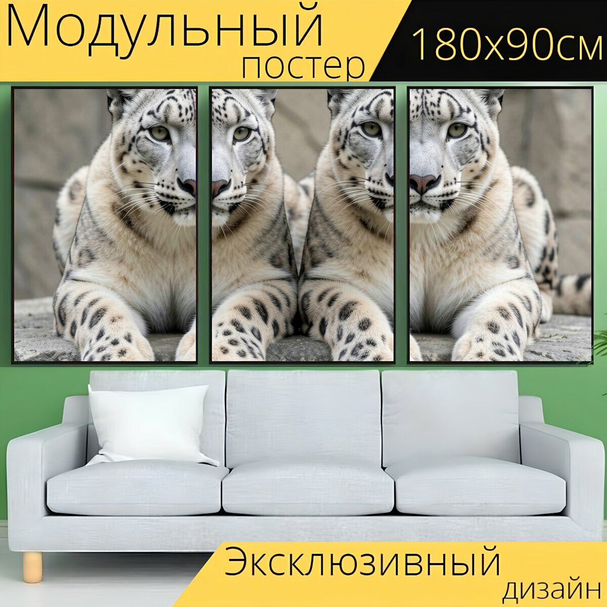 Модульный постер "Два снежных леопарда на камне. Парочка редких белых хищников лежит на скале, крупный план, реалистичная фотография." 180 x 90 см. для интерьера на стену в тубусе