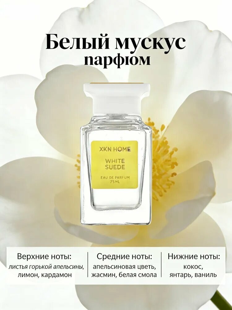 Духи Женские духи мини 7.5 мл стойкие цветочный аромат 7.55 мл