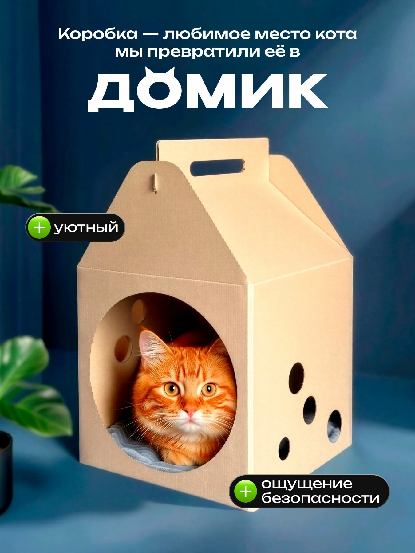 Домик для кошки картонный