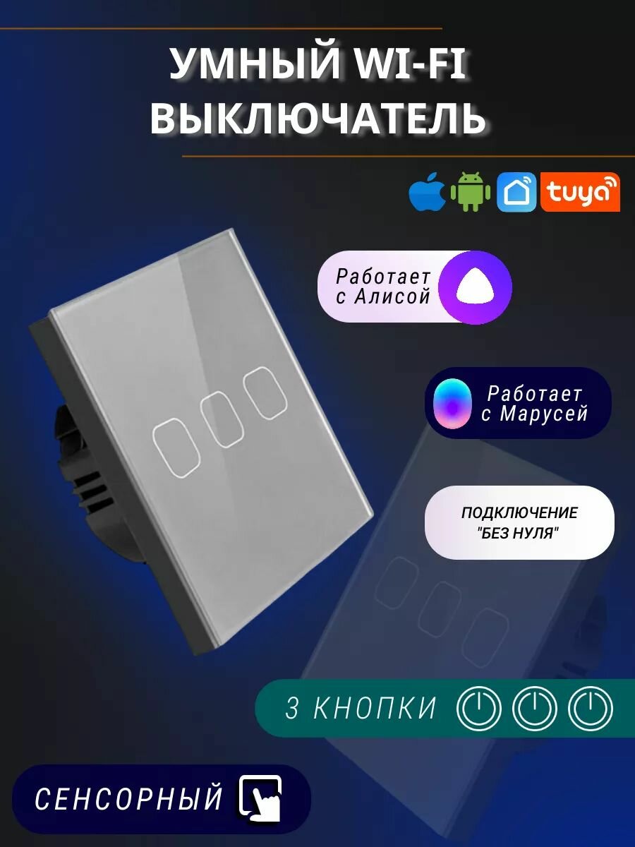 Сенсорный электронный двухклавишный wifi выключатель tuya