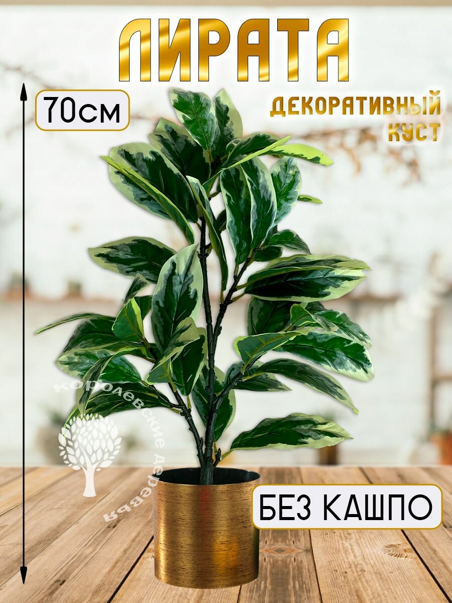 Искусственный цветок Королевские деревья "Фикус Лирата", пестрый, 70см