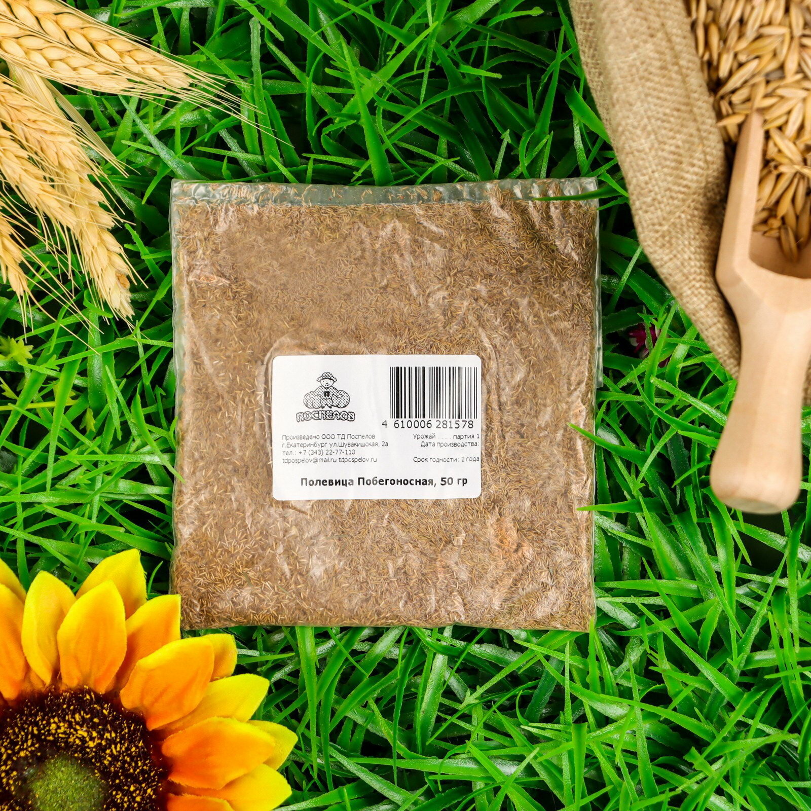 Семена Полевицы побегоносная, 50 г, посев (посадка) в грунт: апрель