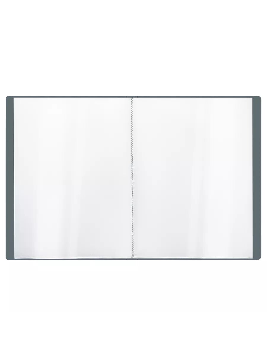 Папка с 30 вкладышами СТАММ А4, 17мм, 500мкм, пластик, (2 шт разных цветов)