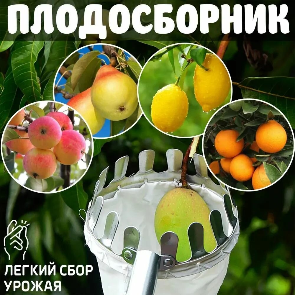 Плодосборник,25х14х9см