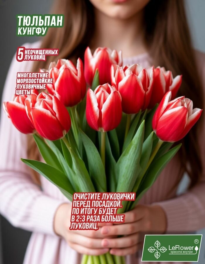 Тюльпан Луковица, Кунг Фу 5 шт неочищенные