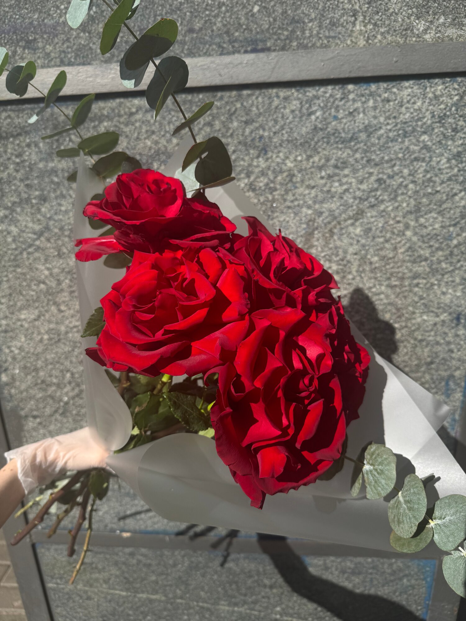 Французские красные розы