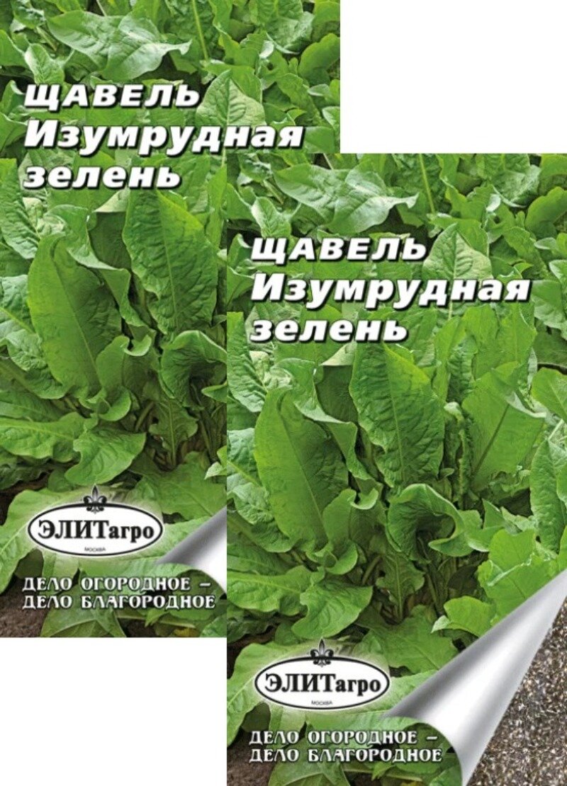 Семена Щавель Изумрудная зелень (0,5 г), 2 пакета, раннеспелый, многолетний