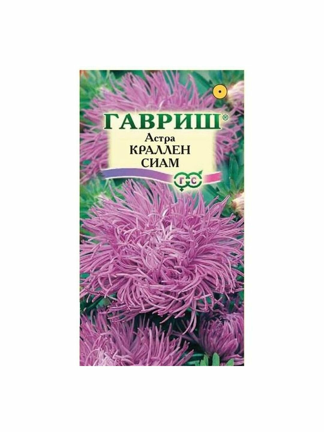 Семена Астра Краллен Сиам, лиловая коготковая, однолетник, Гавриш, 1 пачка - 0.3г семян