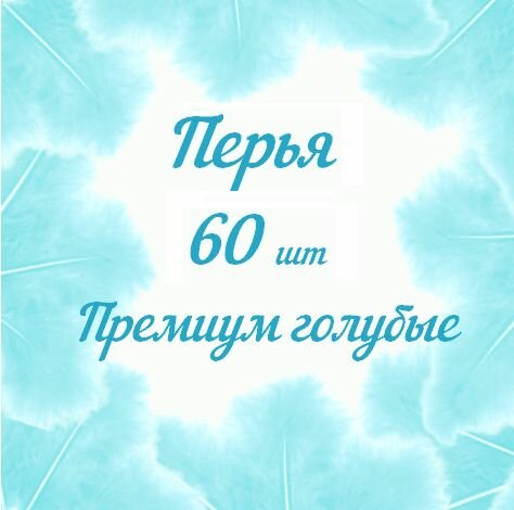 Перья Премиум 60 штук (12-15 см) Нежно голубые