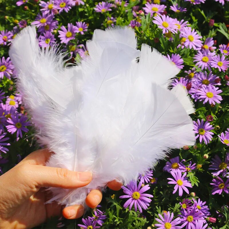 Перья индейки и куриные перья для рукоделия 50 шт 11