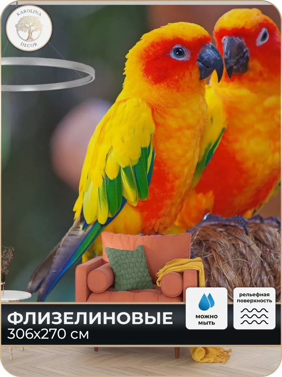 Фотообои Попугаи в детскую в спальню на кухню 300х270