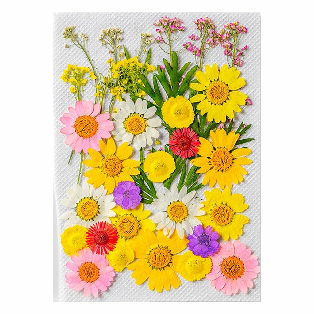 Комплект материалов для садовой серии с Живыми цветами и образцами растений -Chunhua Qiuyue