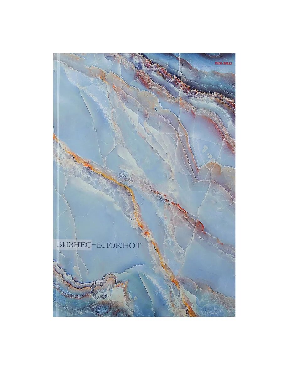 Бизнес блокнот А4 200л