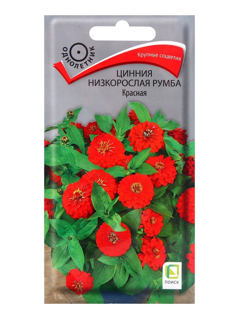 Семена цветов поиск "Цинния низкорослая Румба Красная", махровые соцветия, 0.1 г
