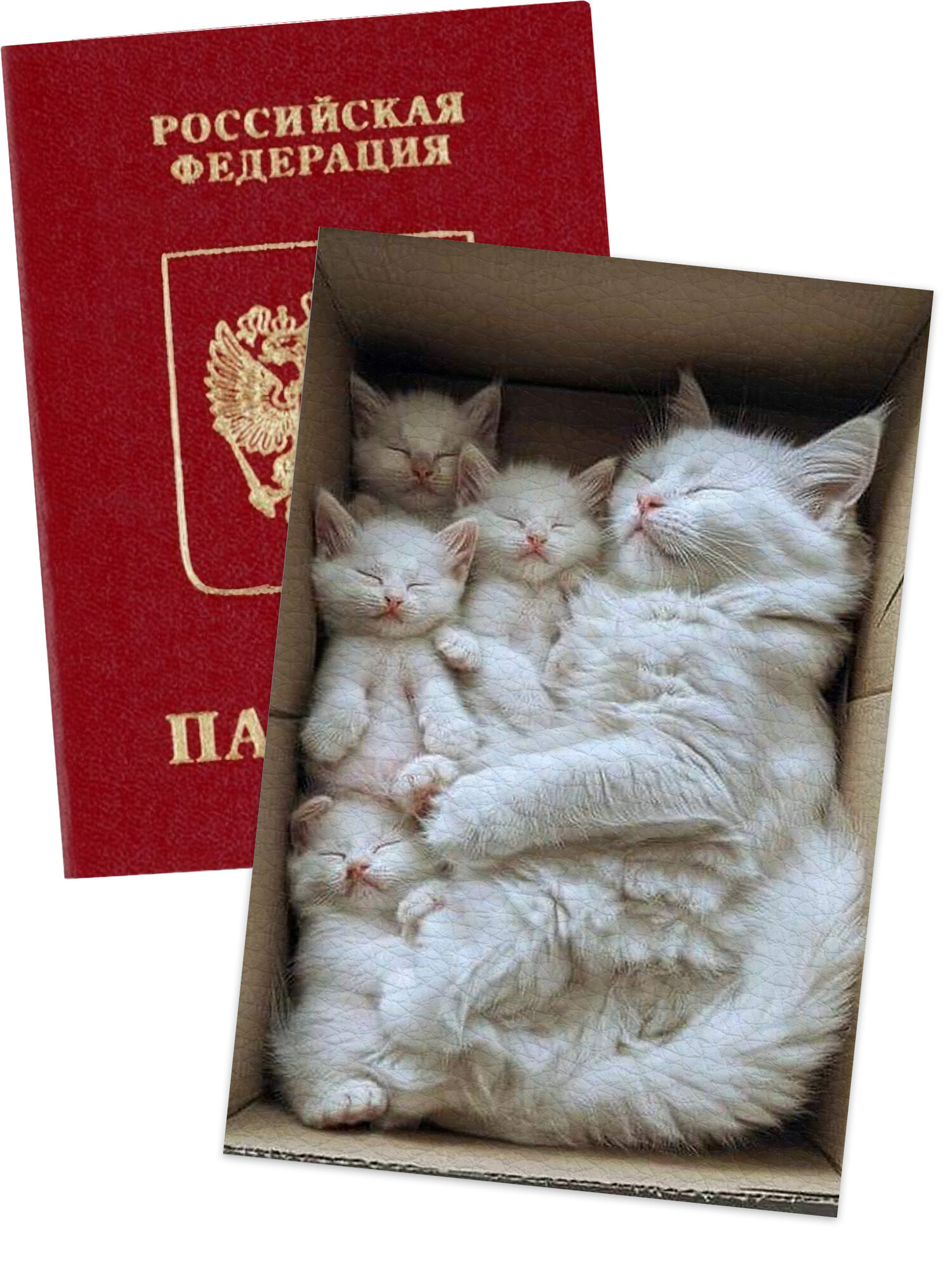 Обложка для паспорта