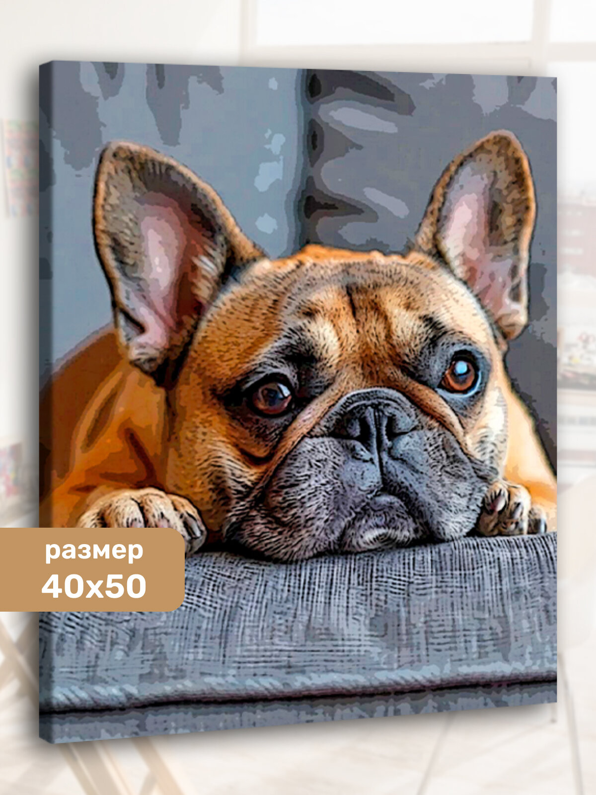 Картина по номерам на холсте и подрамнике "Французский бульдог" 40x50 см