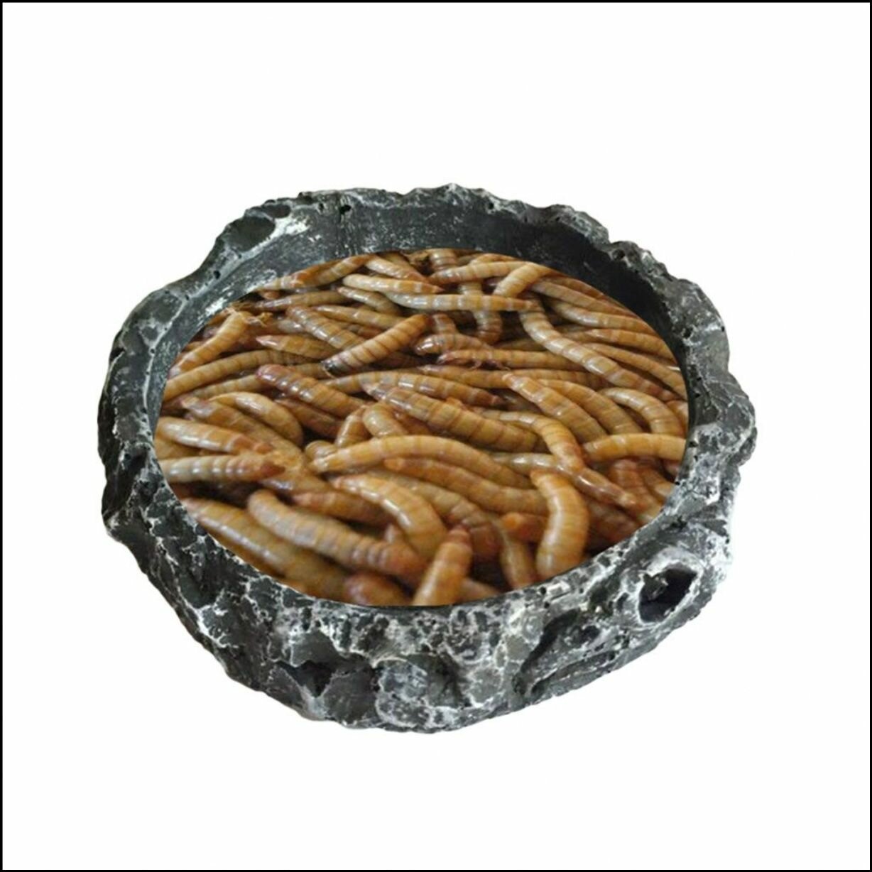 Поилка для рептилий