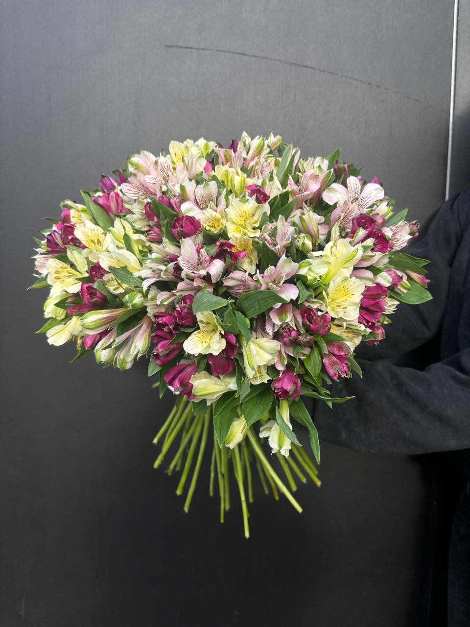 Альстромерия от Story-flowers, 55 шт, под ленту, разноцветные, XL