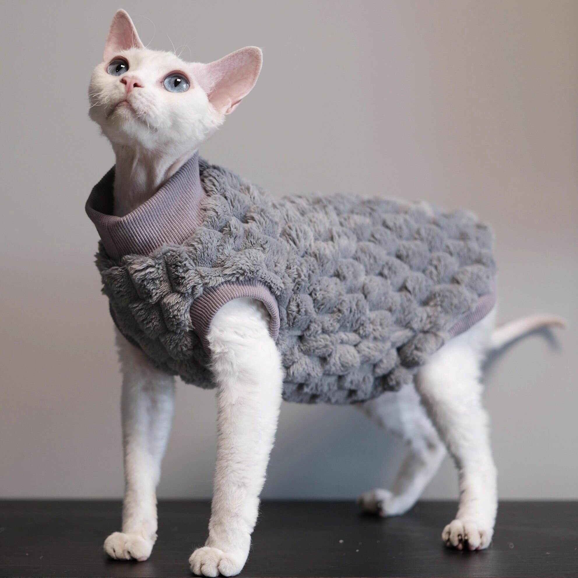 Зимняя теплая одежда для безволосых кошек, свитер для кошек-сфинксов