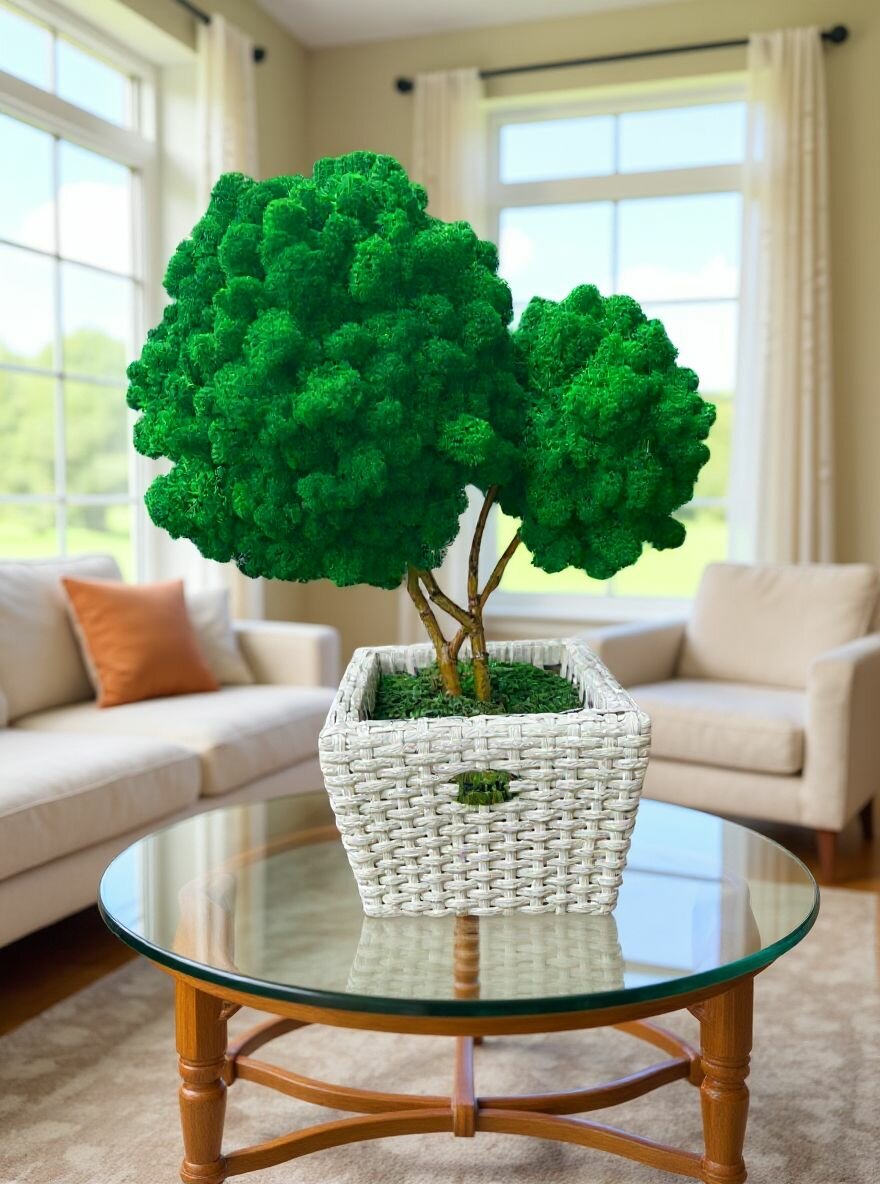 Дерево из мха в плетёном кашпо, ручная работа, стабилизированный мох