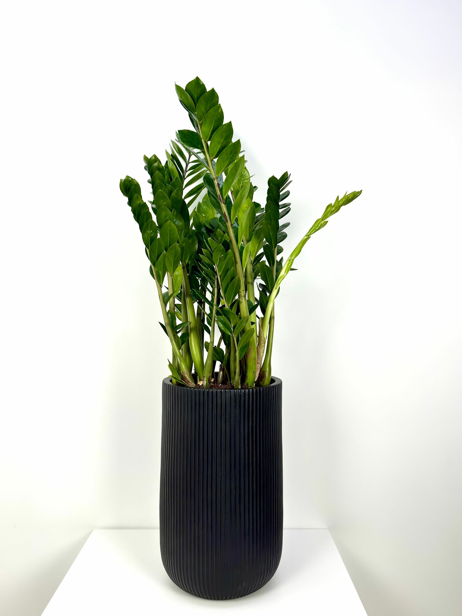 Кашпо напольное для комнатных растений, чёрный Антрацит 30*47 см, 33 л