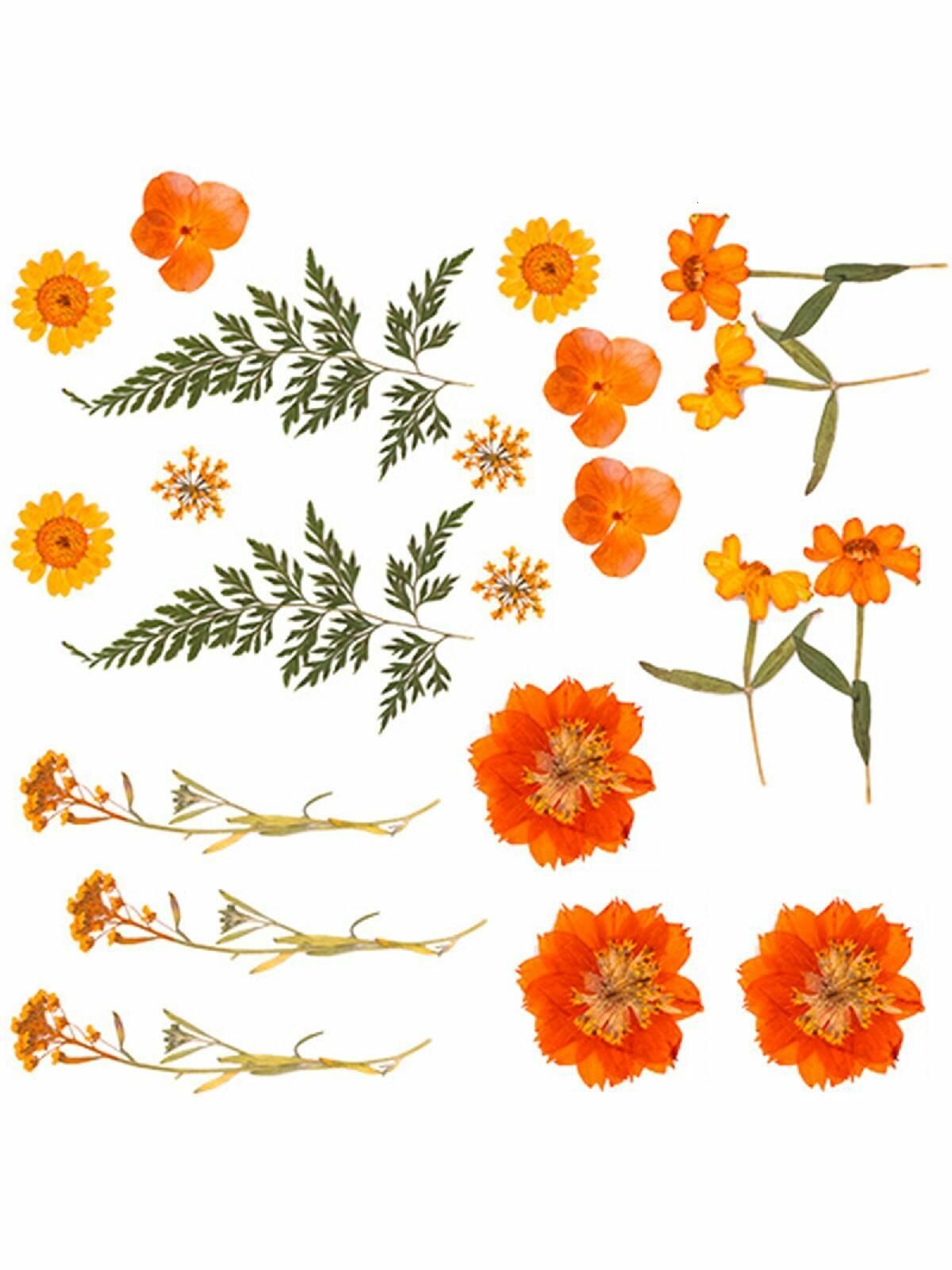 Стабилизированныецветы,(1 упаковка тисненого листа с сушеными цветами серии Luoxia, упаковка материалов для поделок с сушеными цветами-Тип A