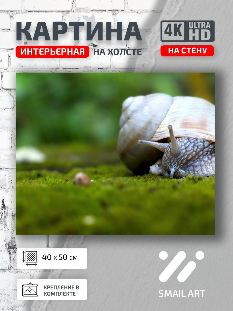 Картина на холсте интерьерная 40 на 50 на стену Травке Macro для кабинета макро интерьер
