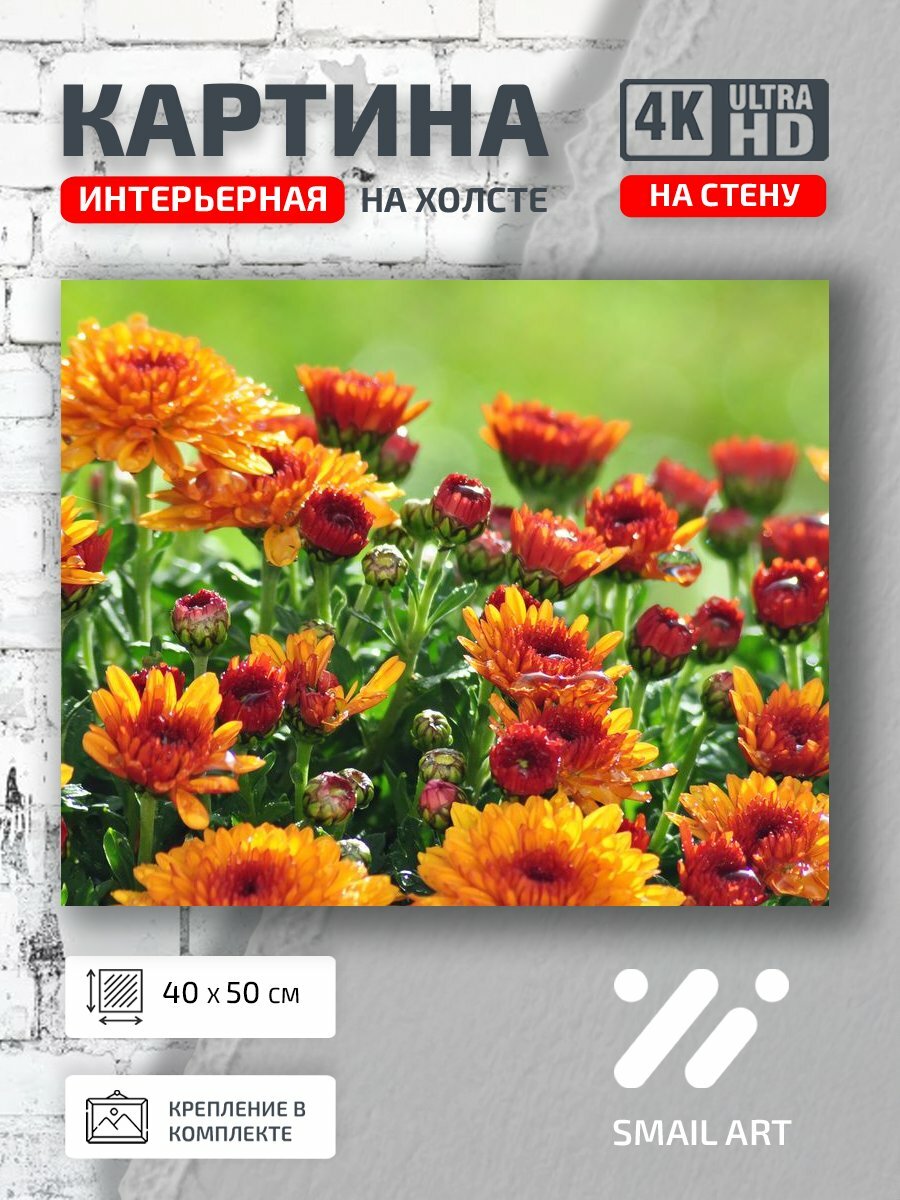 Картина на холсте интерьерная 40 на 50 на стену Весна Landscape для кафе пейзаж интерьер