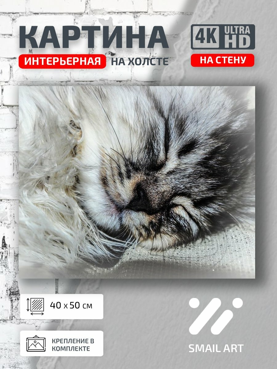 Картина на холсте интерьерная 40 на 50 на стену Кот Animal для детской animal style декор