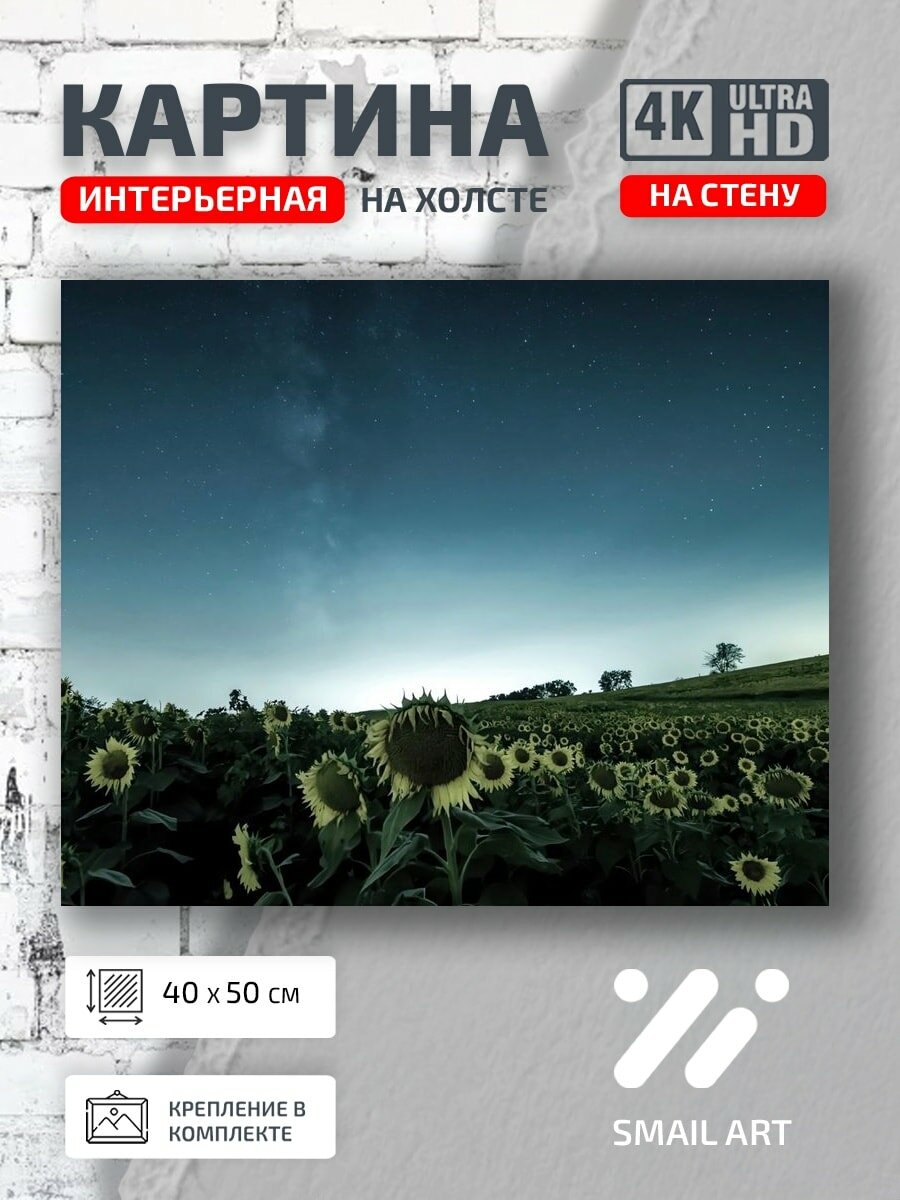 Картина на холсте интерьерная 40 на 50 на стену Природа подсолнухи для кафе пейзаж
