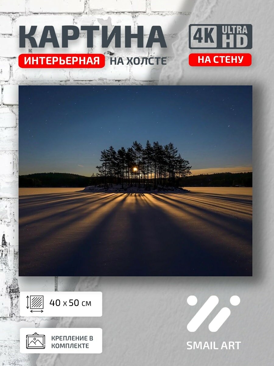 Картина на холсте интерьерная 40 на 50 на стену Природа ночь для кафе пейзаж