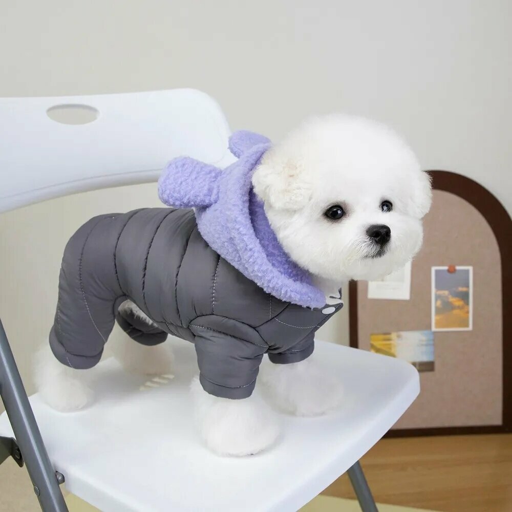 Пушистый комбинезон для щенков с медвежьими ушами и четырьмя лапами