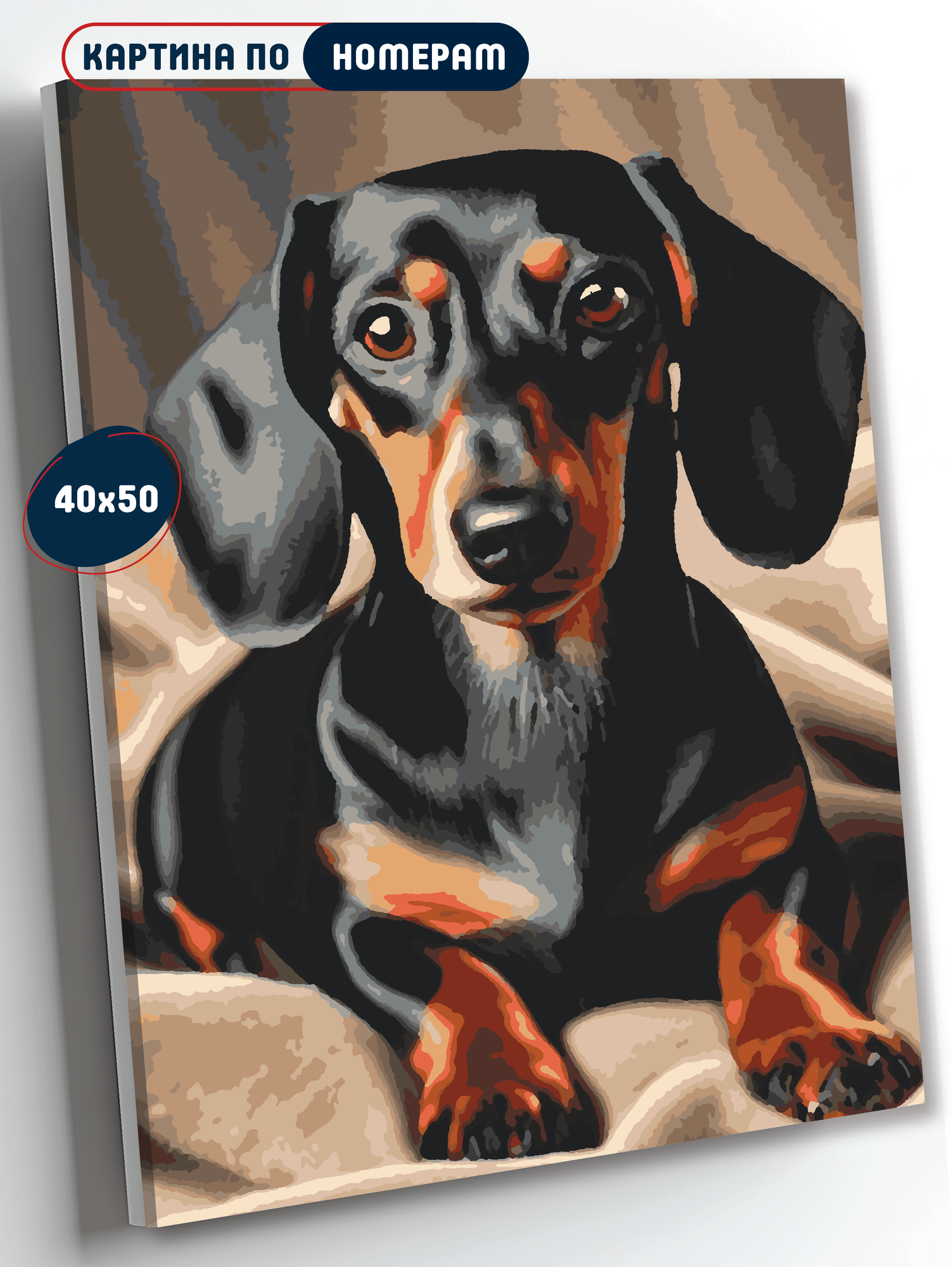 Картина по номерам "Такса", Холст на подрамнике 40х50, набор для рисования, с животными