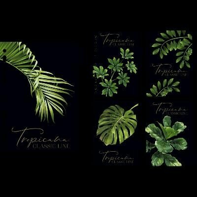 Разделители листов deVENTE картонные, А5, "Tropicana", ламинированные мелованные, с рисунком, 5 шт (3051414)