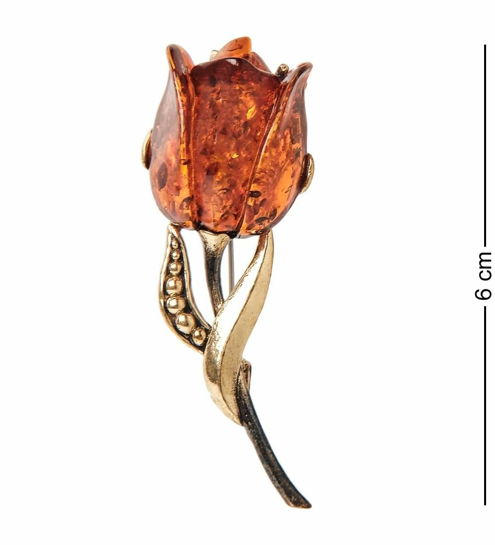 Брошь, янтарь