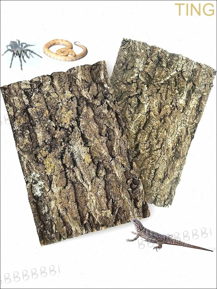 Декорация для аквариума/террариума