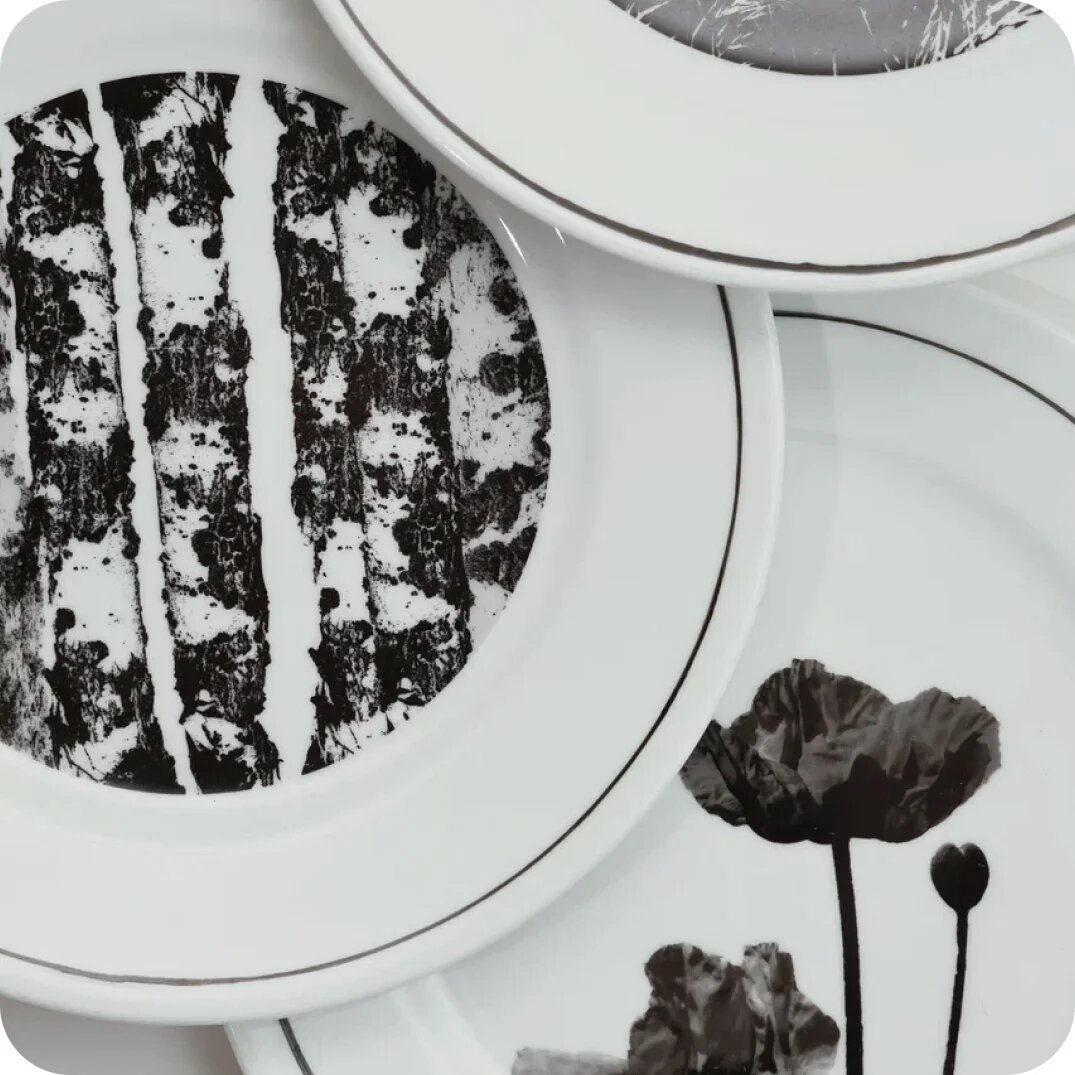 Набор тарелок Антихрупкость "Воспоминания" , 25см, фарфор, белая, с рисунком