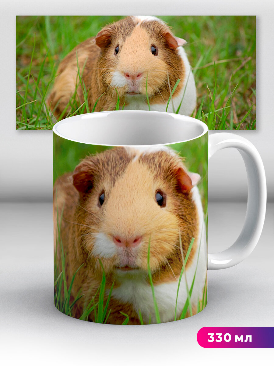 Кружка Морская свинка