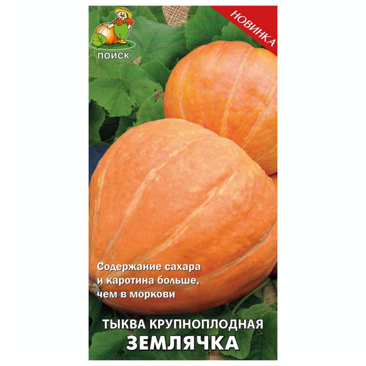 Семена тыква Землячка поиск 10шт крупноплодная, для дачи, сада, огорода и на рассаду