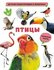 Книга "Птицы"