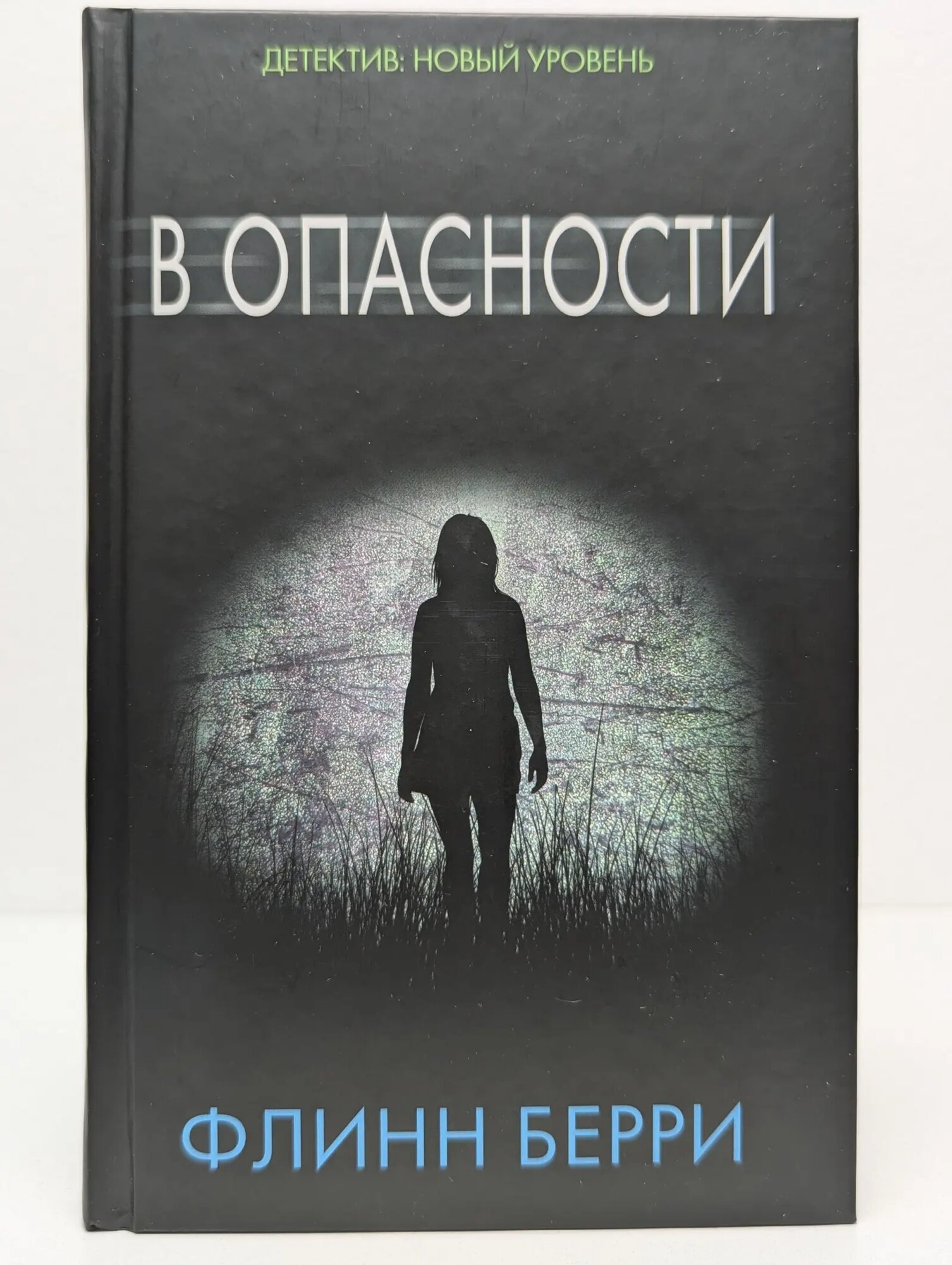 Психологический триллер. В опасности Берри Флинн 2017