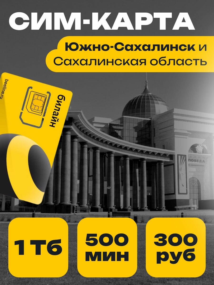 Сим-карта Билайн тариф Эксклюзивный Сахалинская область 1000 Гб + 500 минут за 300 руб.