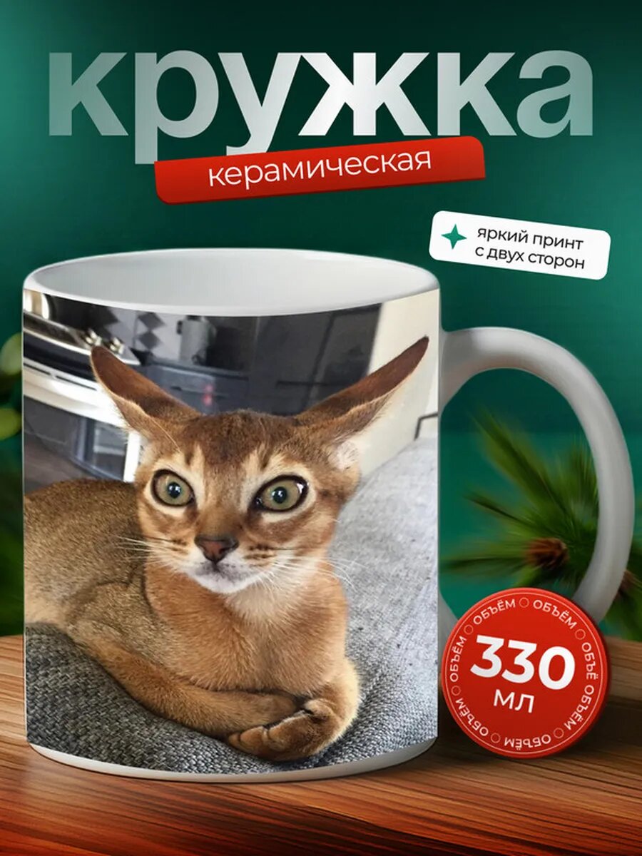 Кружка Дагестанский бархатный кот 41,