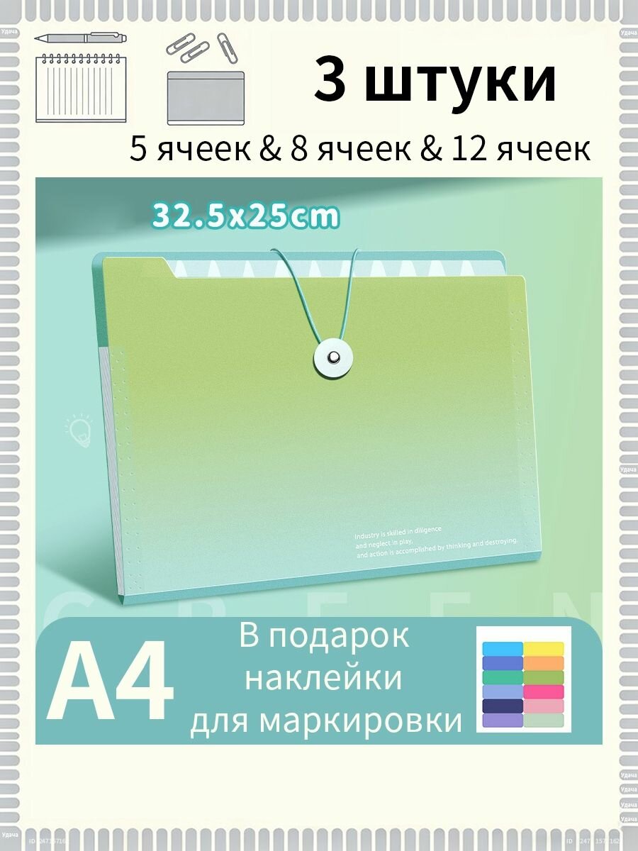 Папка архивная A4, 3 шт.