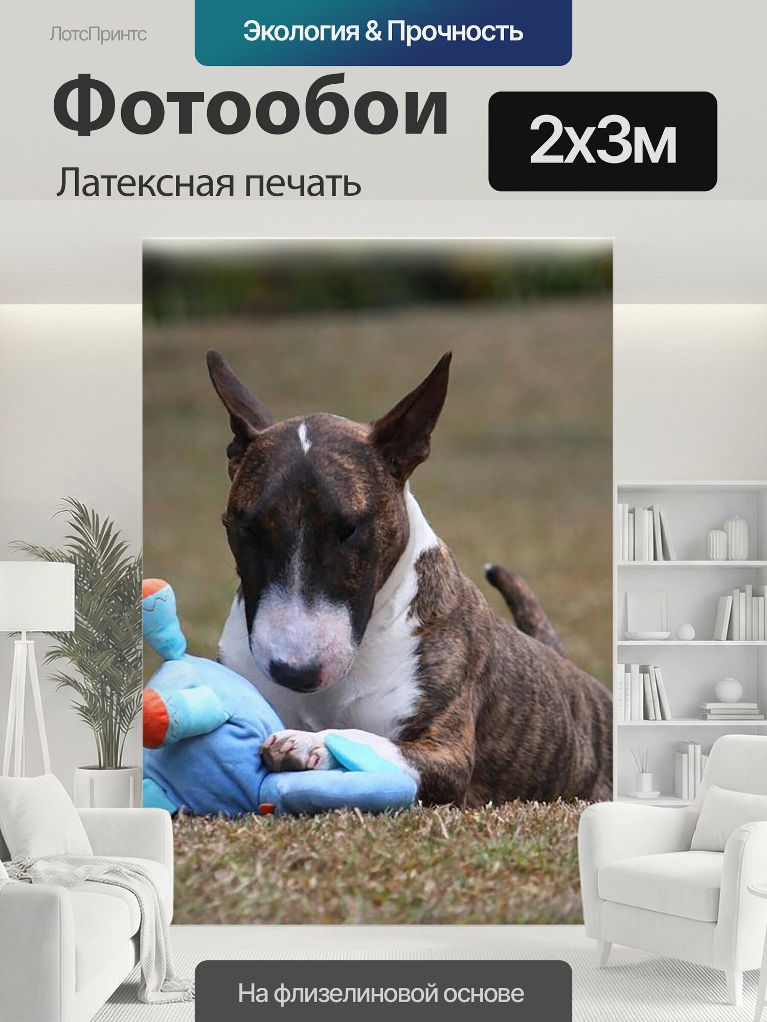 Фотообои моющиеся ударопрочные "Собака, бультерьер, миниатюра" 200x300 см. латексная печать