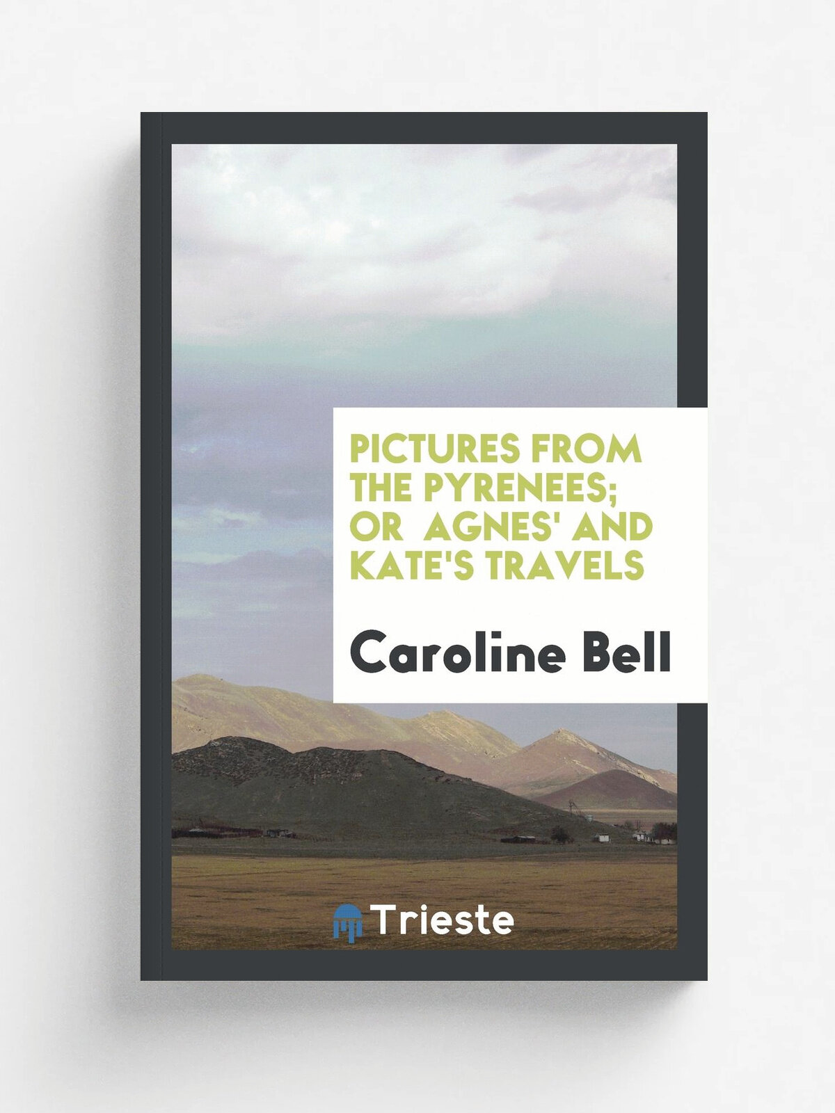 Pictures from the Pyrenees; or Agnes' and Kate's travels
