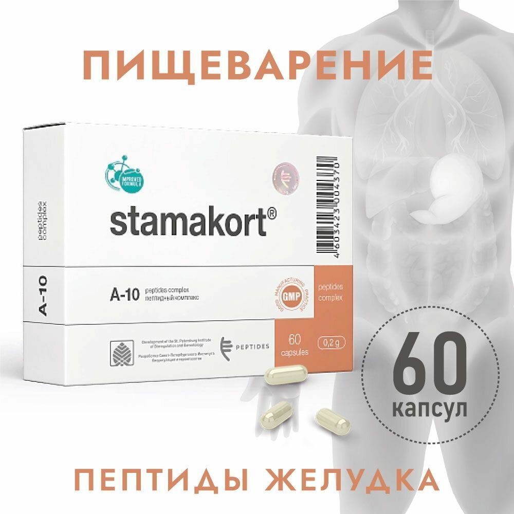 Стамакорт (Пептиды Хавинсона) пептид для желудка, 60 капсул, бад для жкт и восстановления пищеварительной системы, профилактика заболеваний, гастрита, язвы, изжога