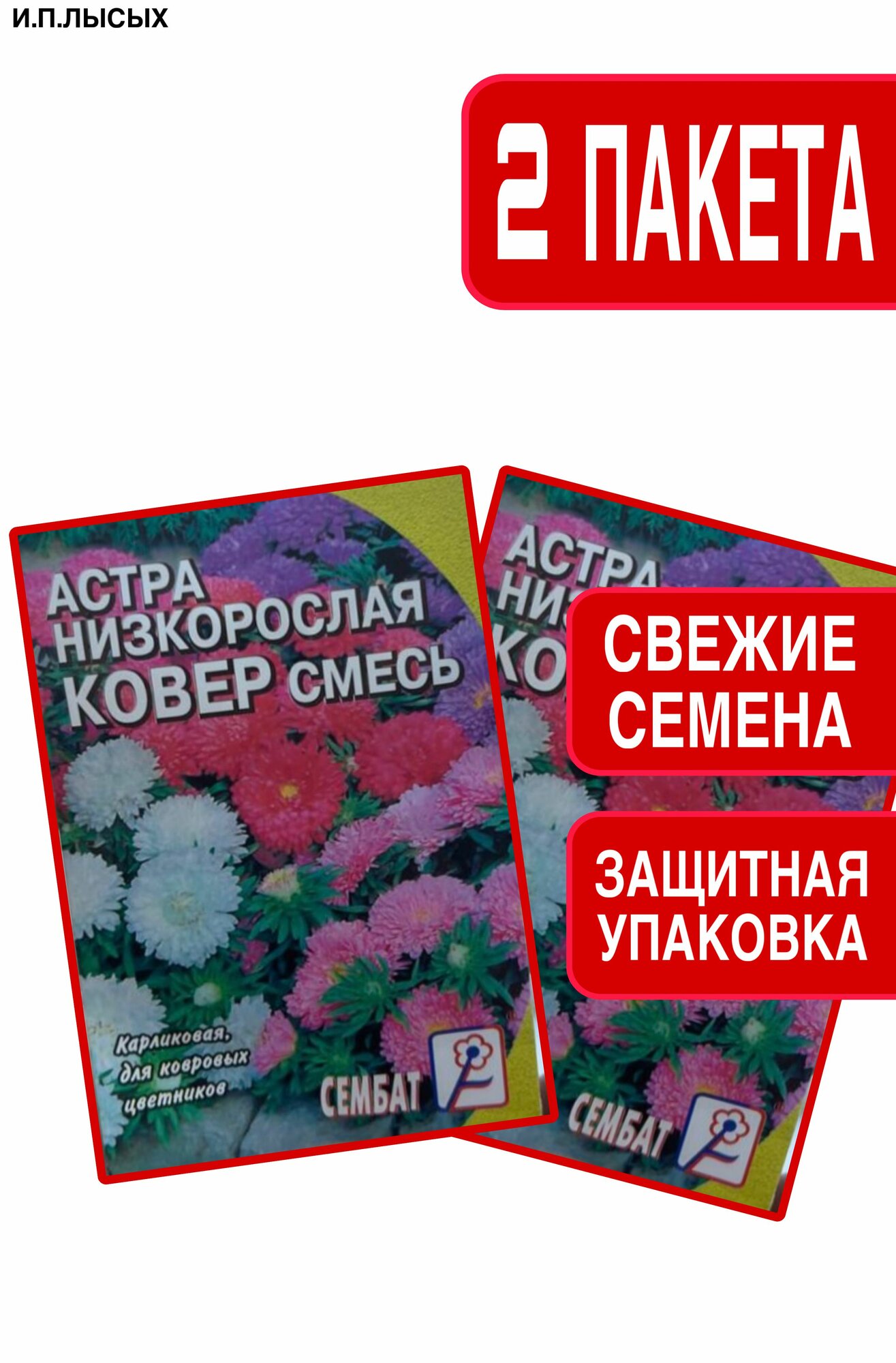 Семена Астра "Низкорослая"