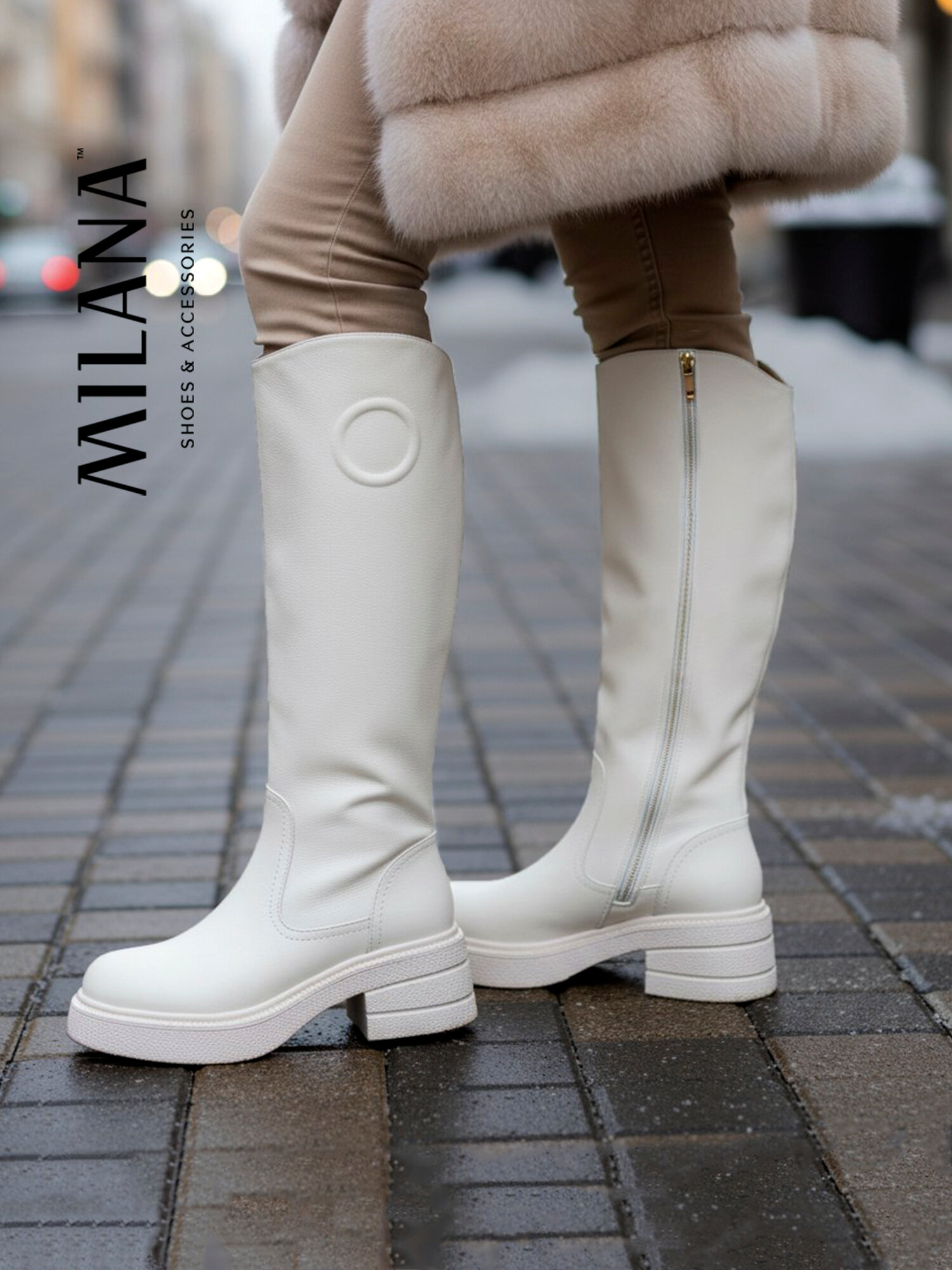 Сапоги Базовая Осень-Зима